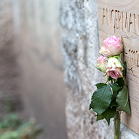 Gedenkseite für Bernhard Kohlmann | Neuner Bestattungen